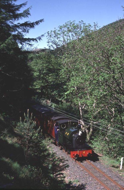 Forestry Crossing - Narrow Gauge railway Photo Gallery