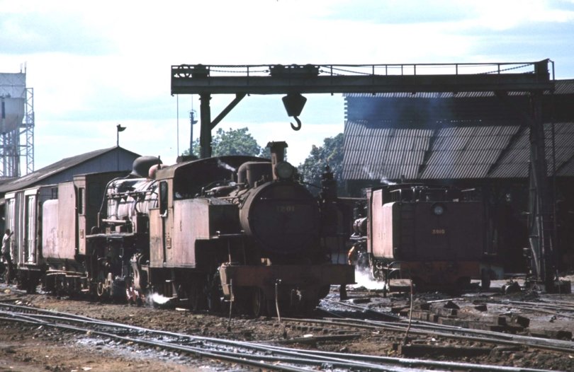 1201 and 3010 - Narrow Gauge railway Photo Gallery