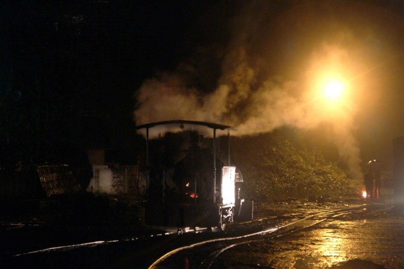 David - Narrow Gauge railway Photo Gallery