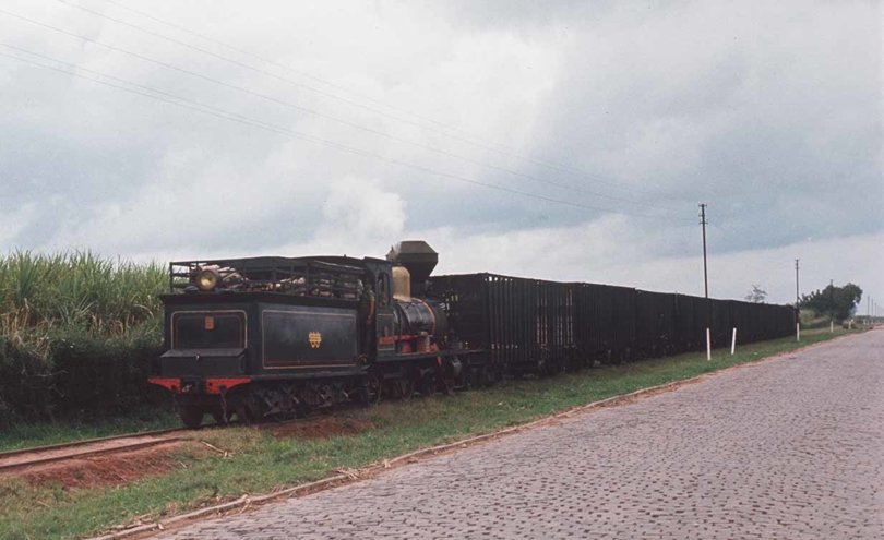 Cane train - Narrow Gauge railway Photo Gallery