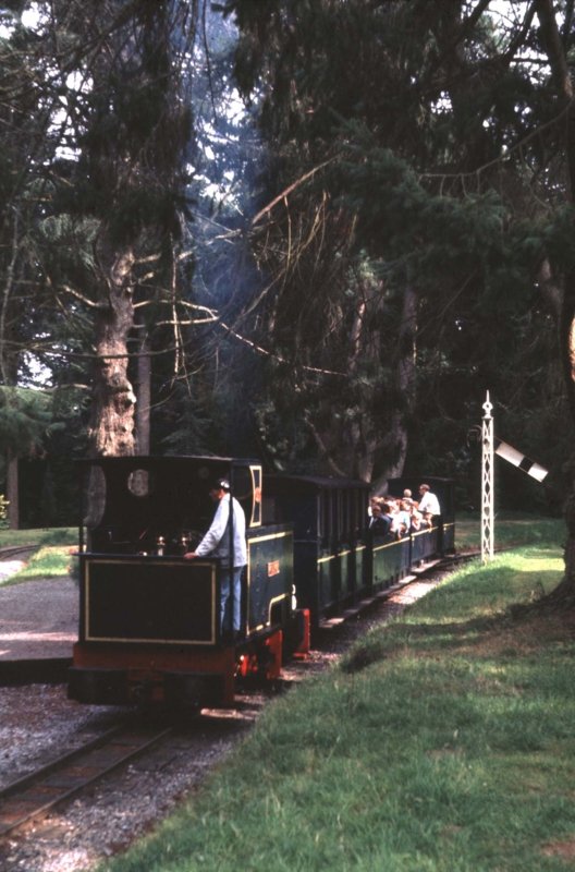 Pine Junction - Narrow Gauge railway Photo Gallery