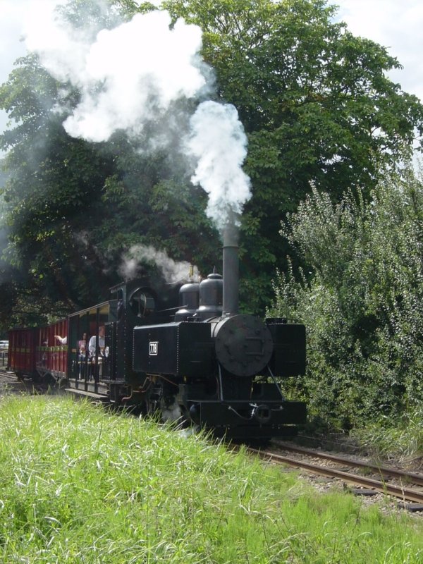 778 leaving the park - Narrow Gauge railway Photo Gallery